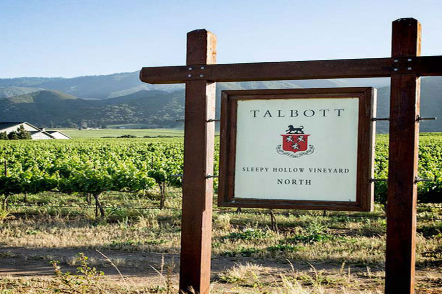 Sleepy Hollow Vineyards | California Grand Cru Vineyard | Talbott Winery